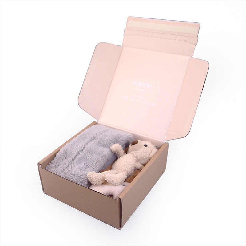 Easy Assembly Corrugated Cardboard Box with Original Surface Finish ...